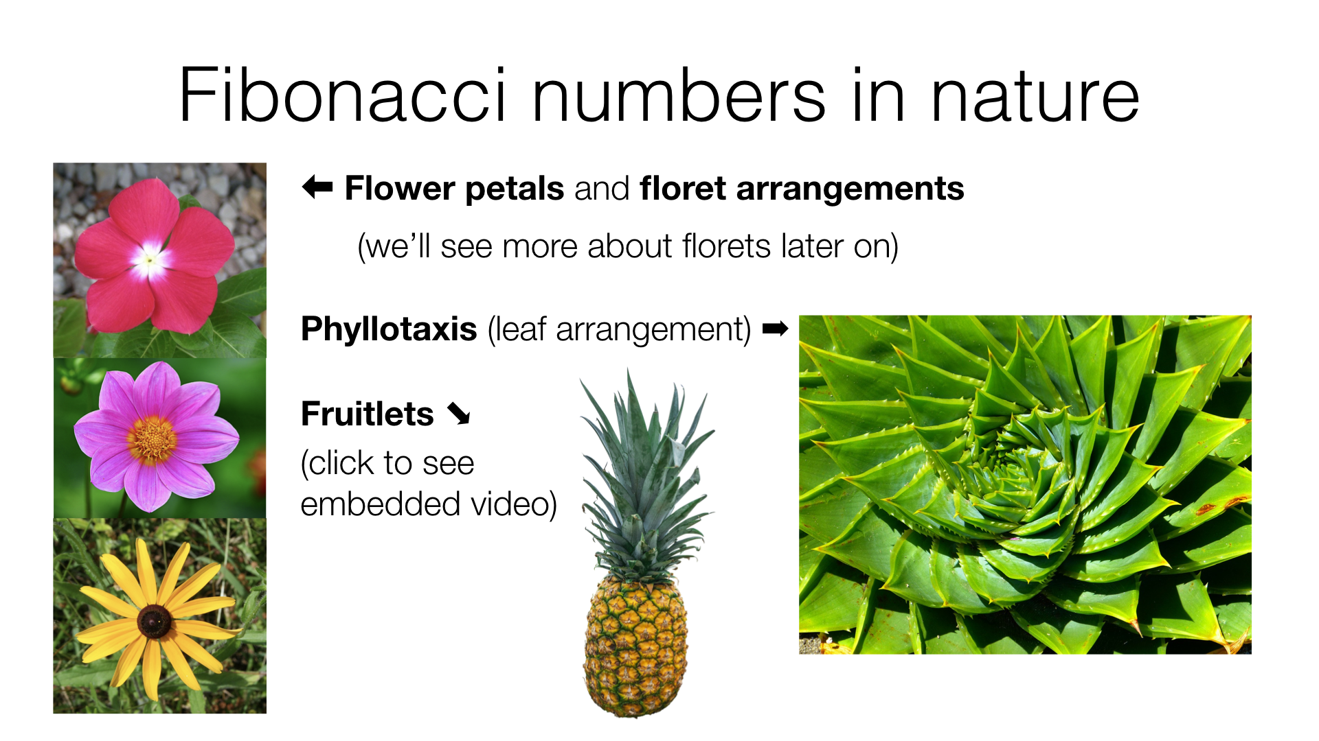 Enrichment 13.002 – BossMaths.com