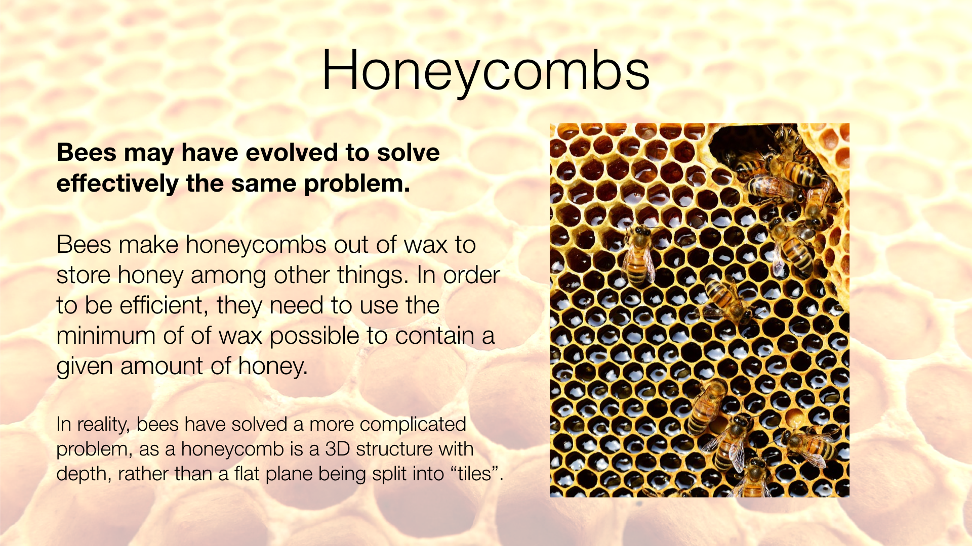 Enrichment 6 – honeycombs.023 – BossMaths.com