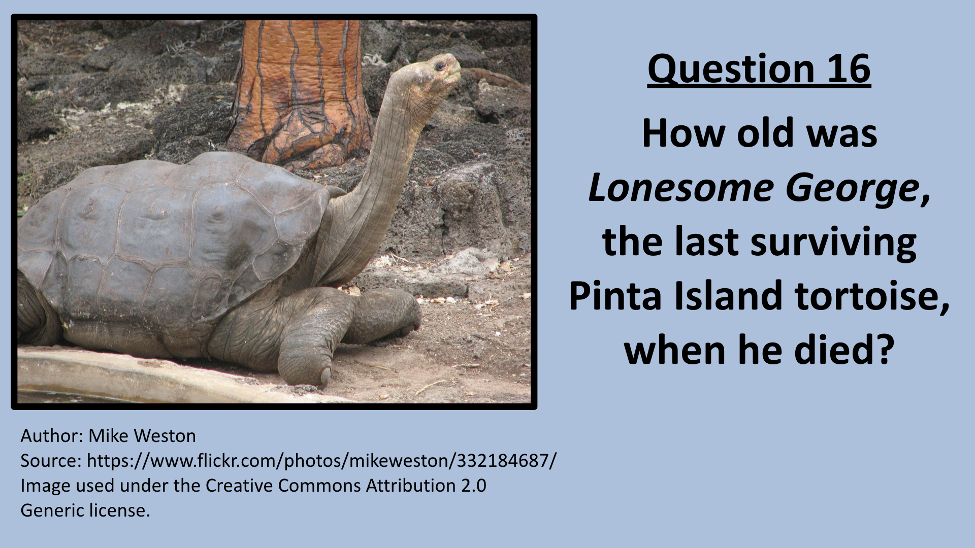 Estimation.016 – BossMaths.com