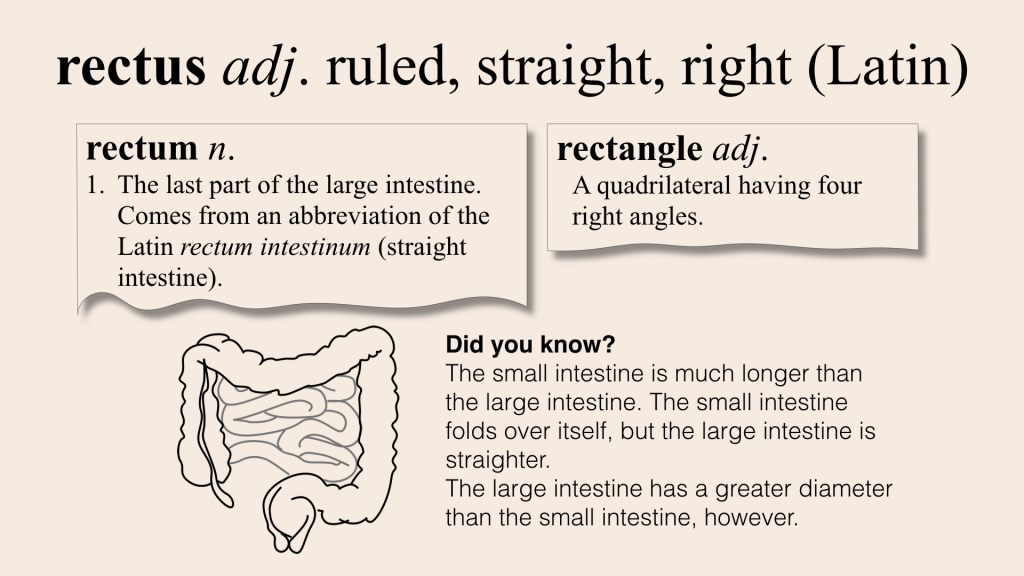 Etymology.025 – BossMaths.com