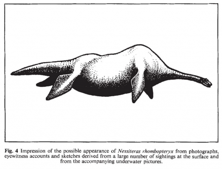 A rhombus, David Attenborough, and the Loch Ness Monster – BossMaths.com